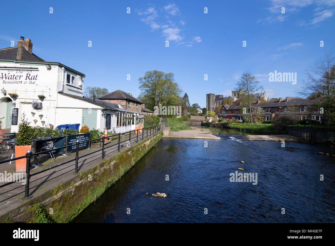 The water rat ripon hi-res stock photography and images - Alamy