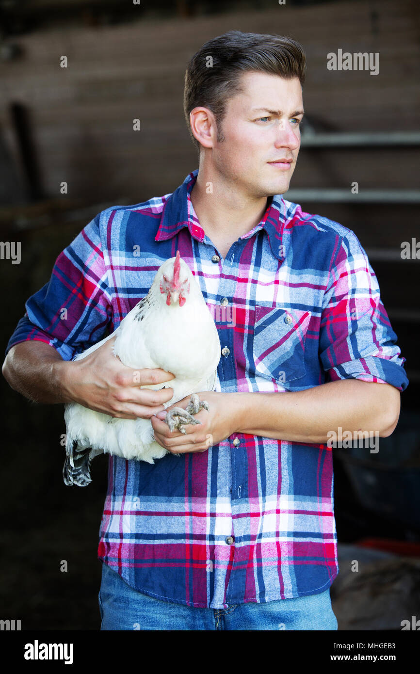 Person holding rooster hi-res stock photography and images - Alamy