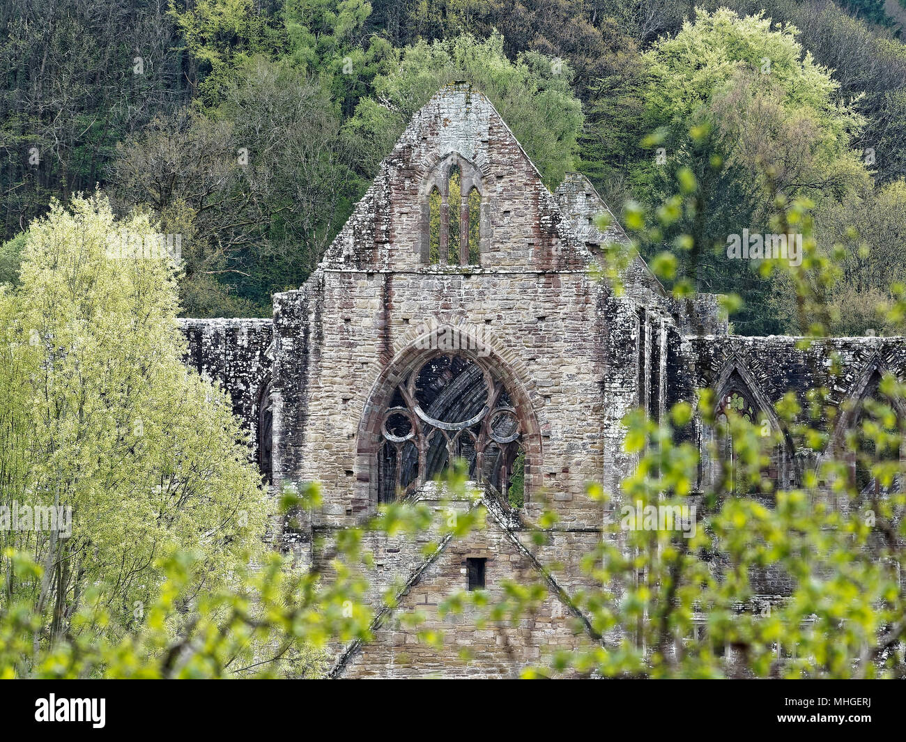 Ruins tintern abbey river wye hi-res stock photography and images - Alamy