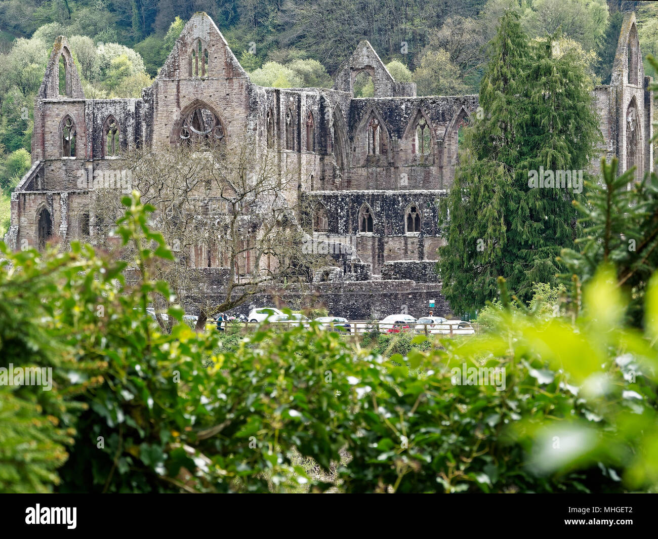 Tintern abbey wye valley hi-res stock photography and images - Alamy