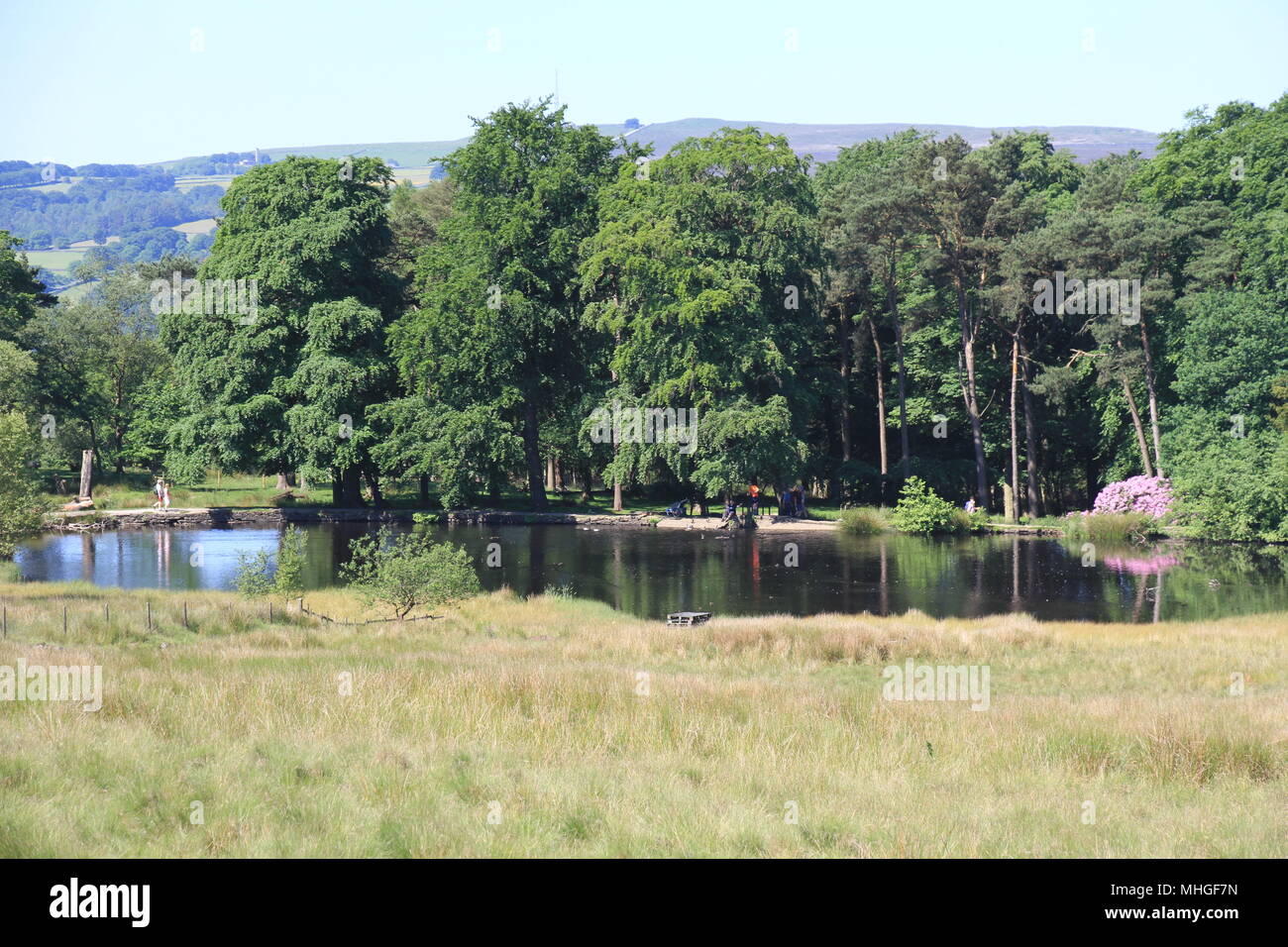 National Trust Longshaw Estate, UKJ Stock Photo - Alamy