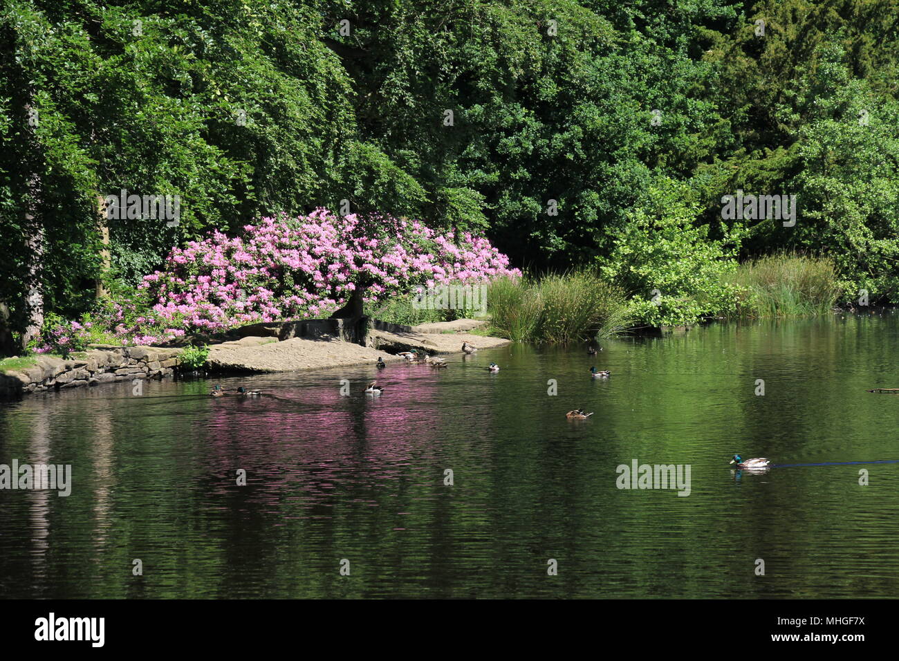 National Trust Longshaw Estate, UKJ Stock Photo - Alamy