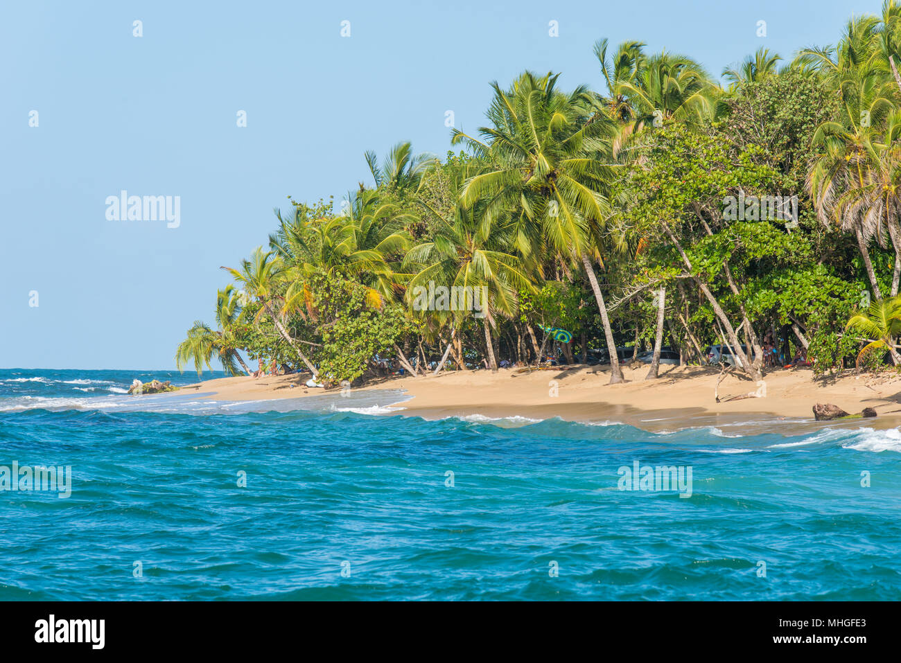 Punta Uva beach in Costa Rica, wild and beautiful caribbean coast Stock ...