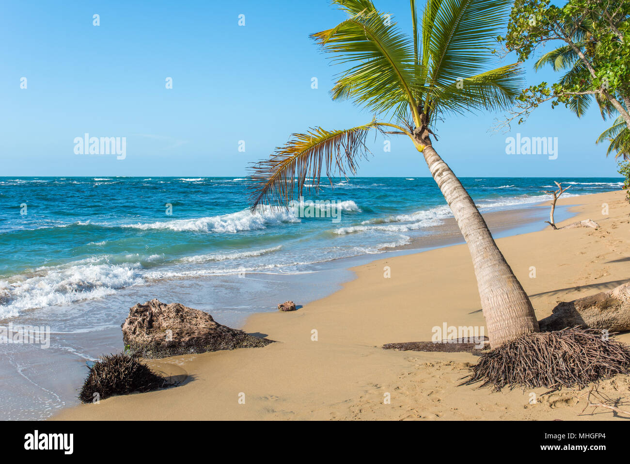 Playa punta uva beach hi-res stock photography and images - Alamy