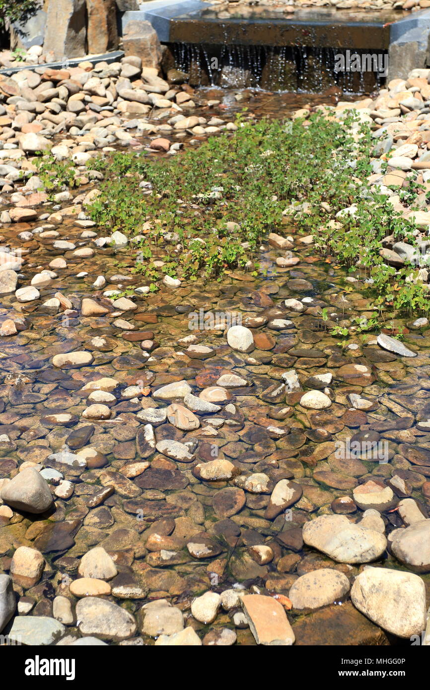 Stream water feature hi-res stock photography and images - Alamy