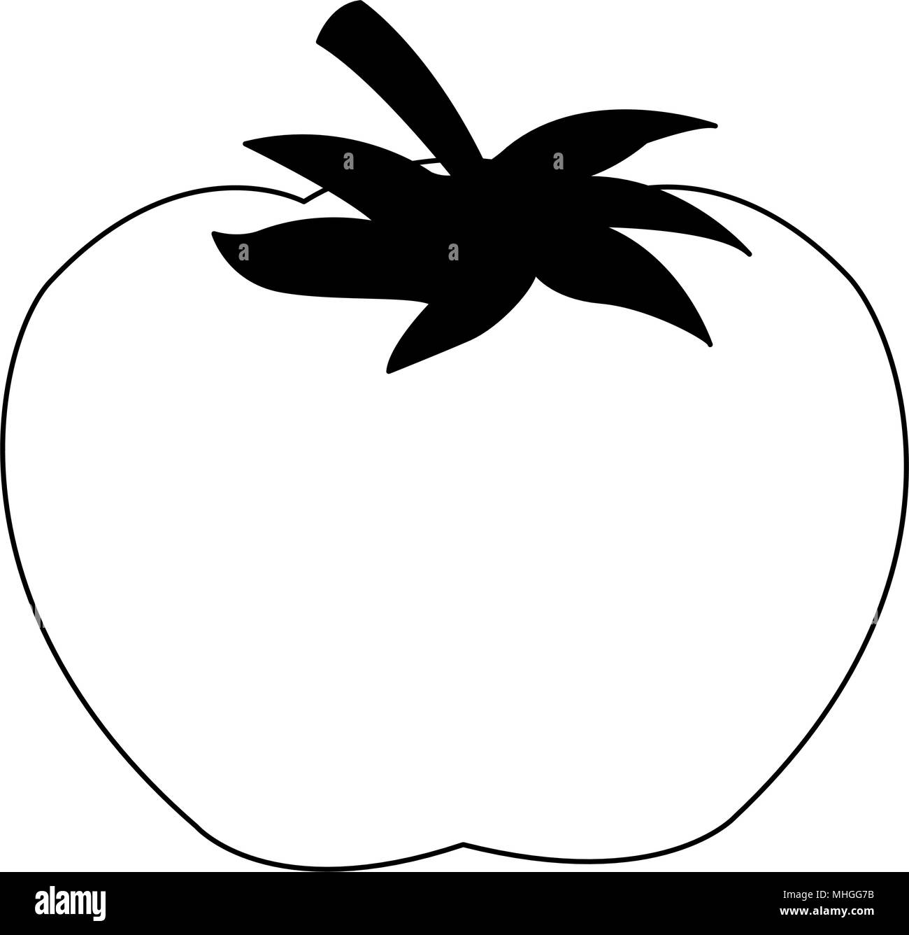 Tomato vegetable isolated on black and white colors Stock Vector Image ...