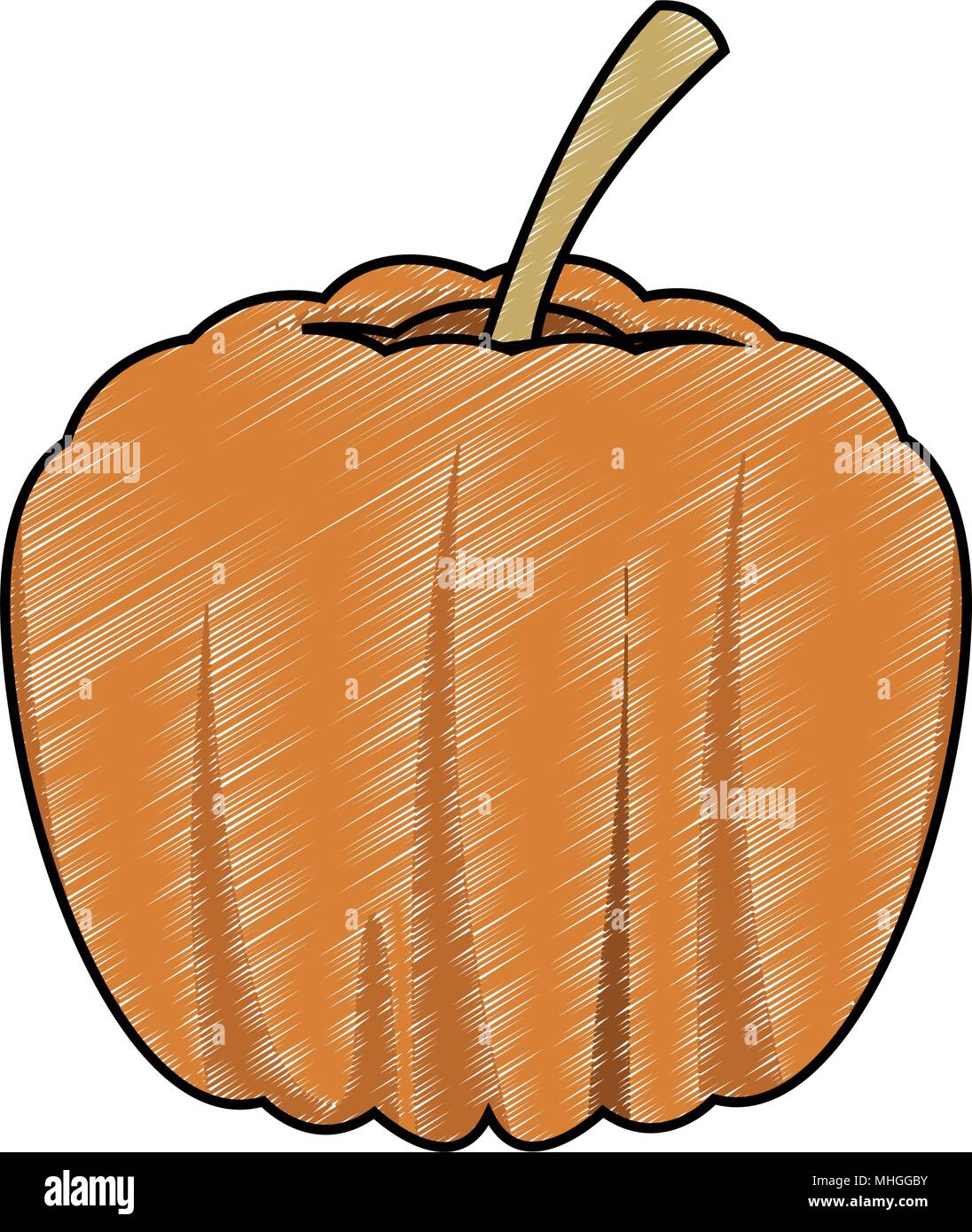 Pumpkin vegetable isolated scribble Stock Vector Image & Art - Alamy