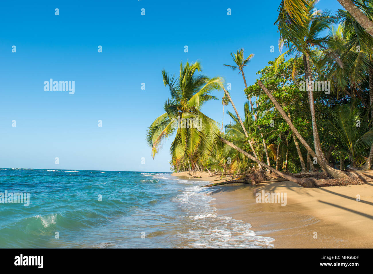 Punta uva puerto viejo hi-res stock photography and images - Alamy