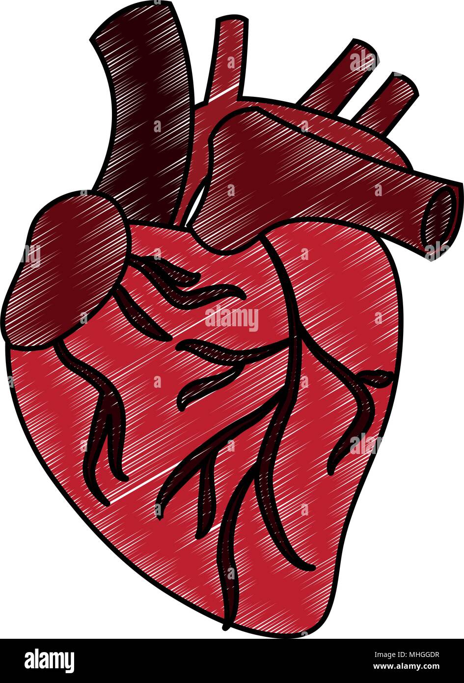 Human earth organ scribble Stock Vector Image & Art - Alamy