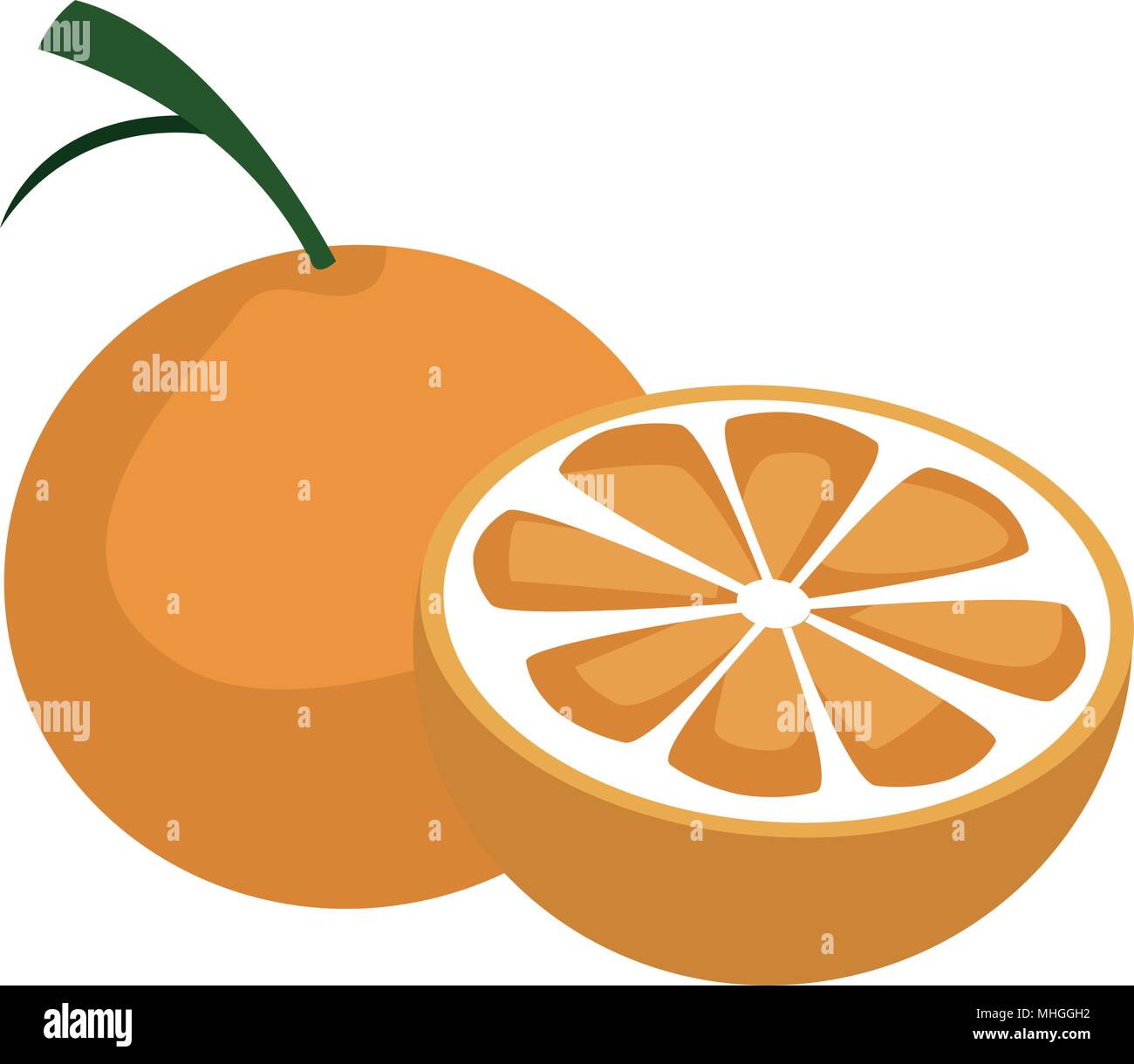 Orange half cut Stock Vector Image & Art - Alamy