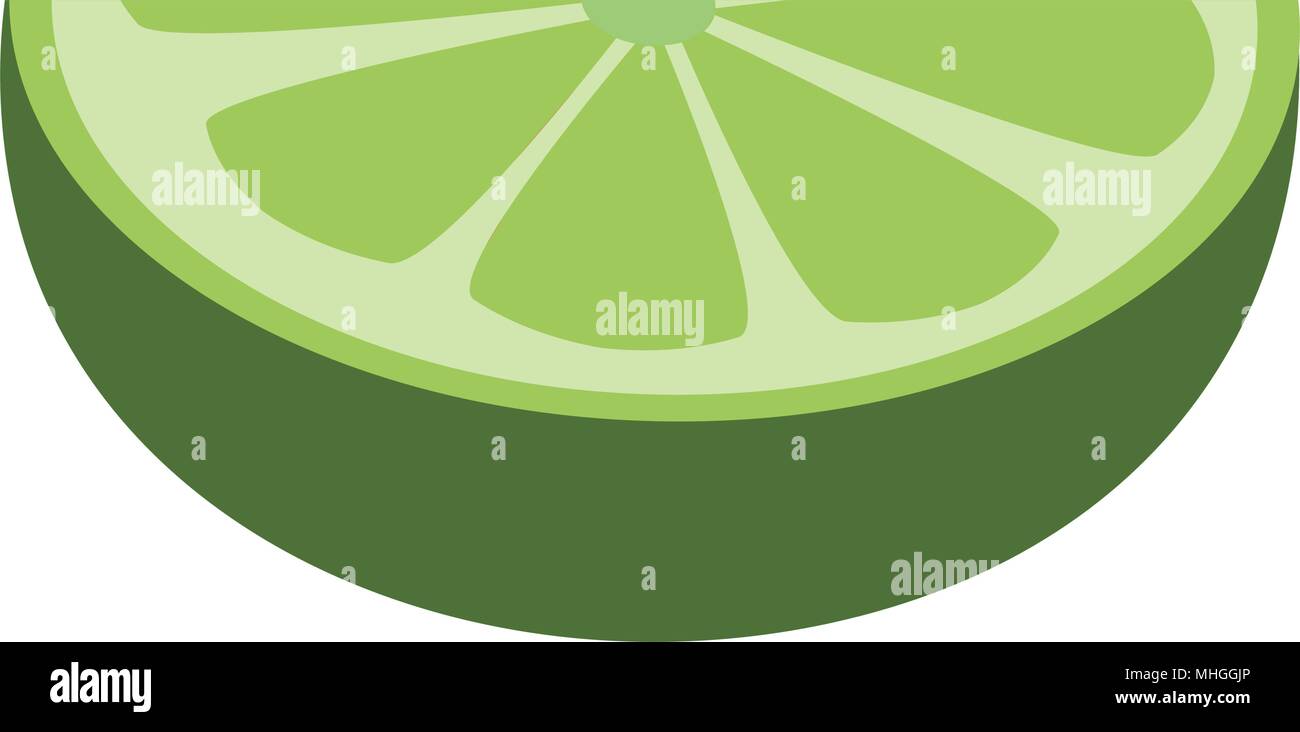 Lemon half cut Stock Vector Image & Art - Alamy