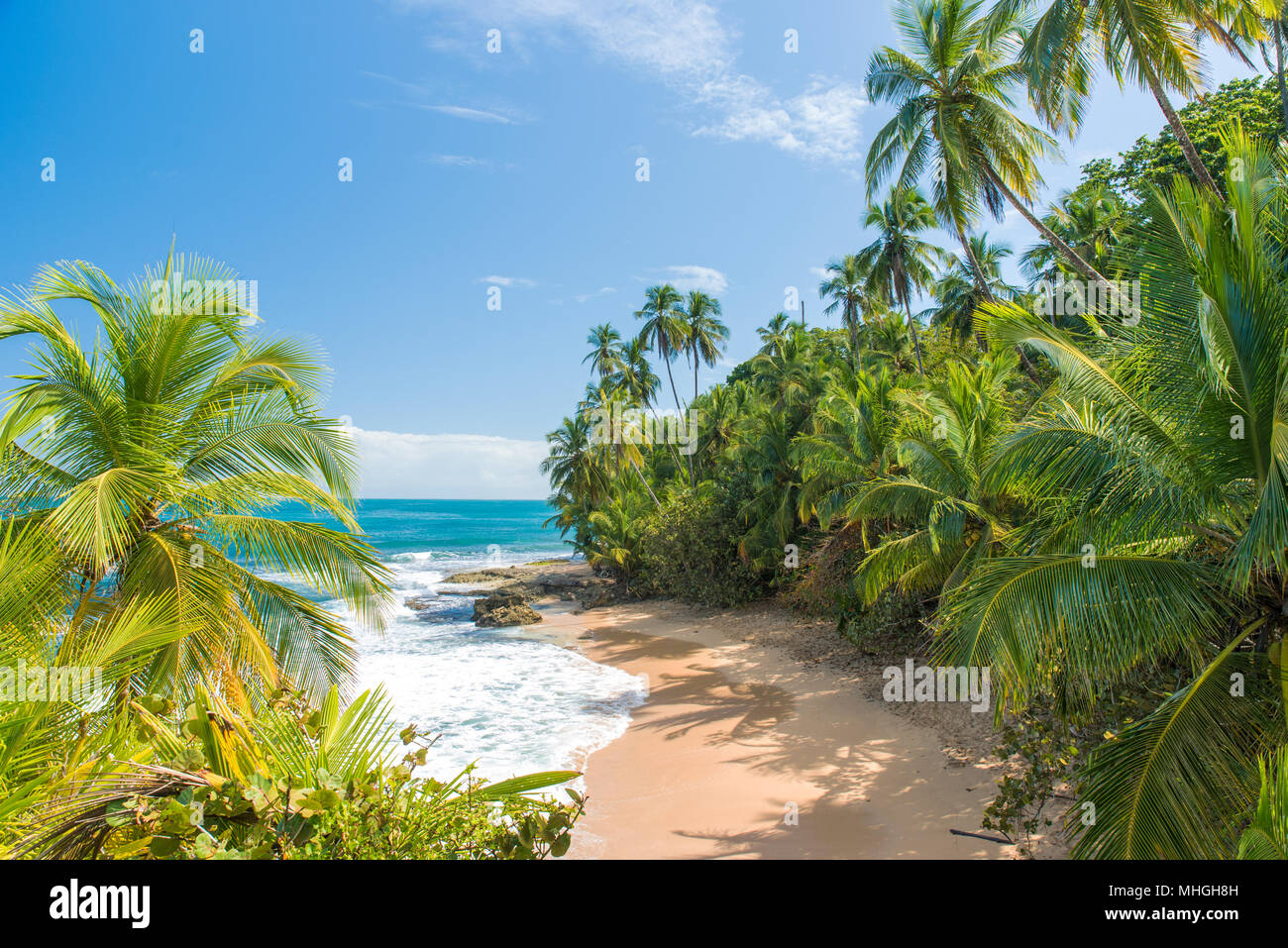 Wild caribbean beach of Manzanillo at Puerto Viejo, Costa Rica Stock ...