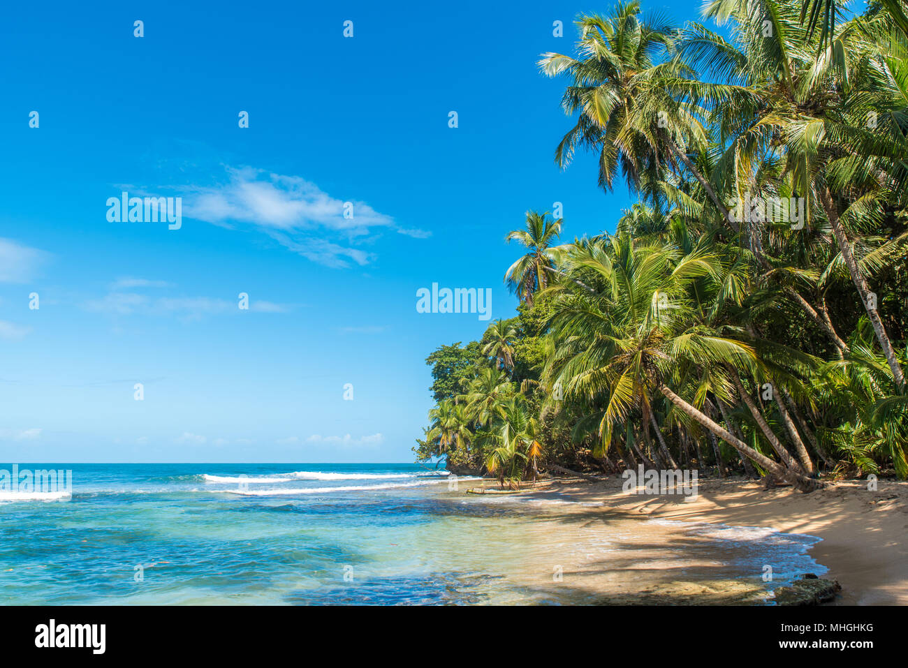 Paradise wild beach of Manzanillo Park in Costa Rica Stock Photo - Alamy