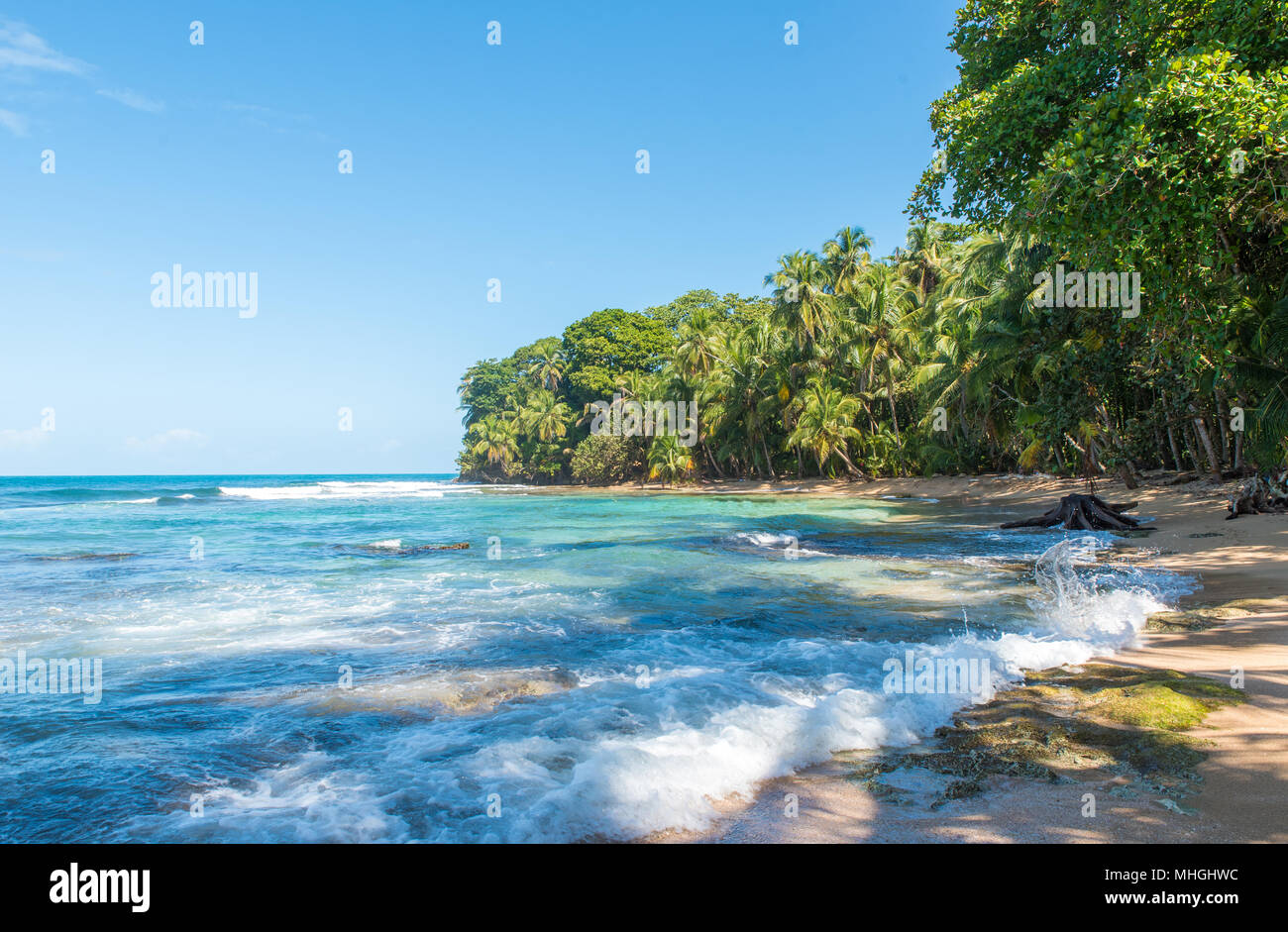 Paradise wild beach of Manzanillo Park in Costa Rica Stock Photo - Alamy