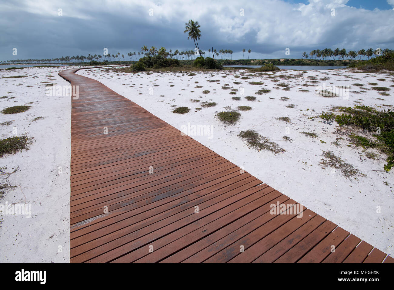 Pathway to paradise hi-res stock photography and images - Alamy