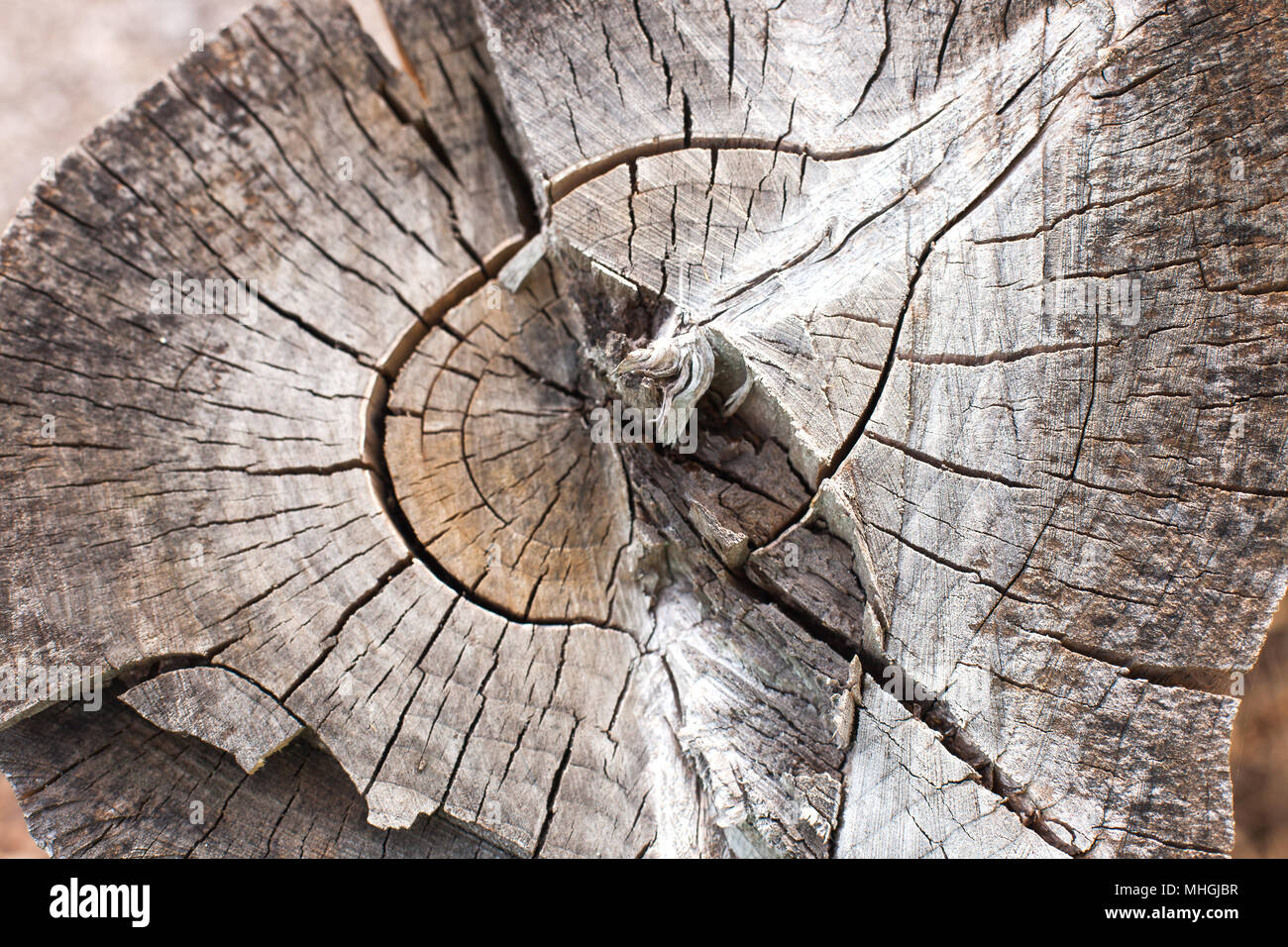 wood rings texture, cracked wooden cut Stock Photo - Alamy