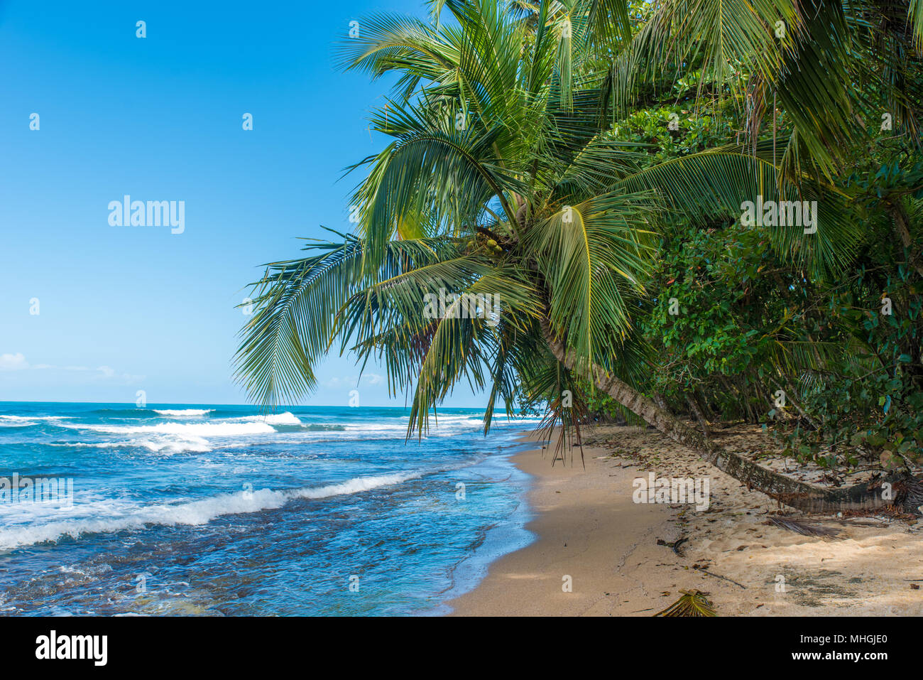 Paradise wild beach of Manzanillo Park in Costa Rica Stock Photo - Alamy