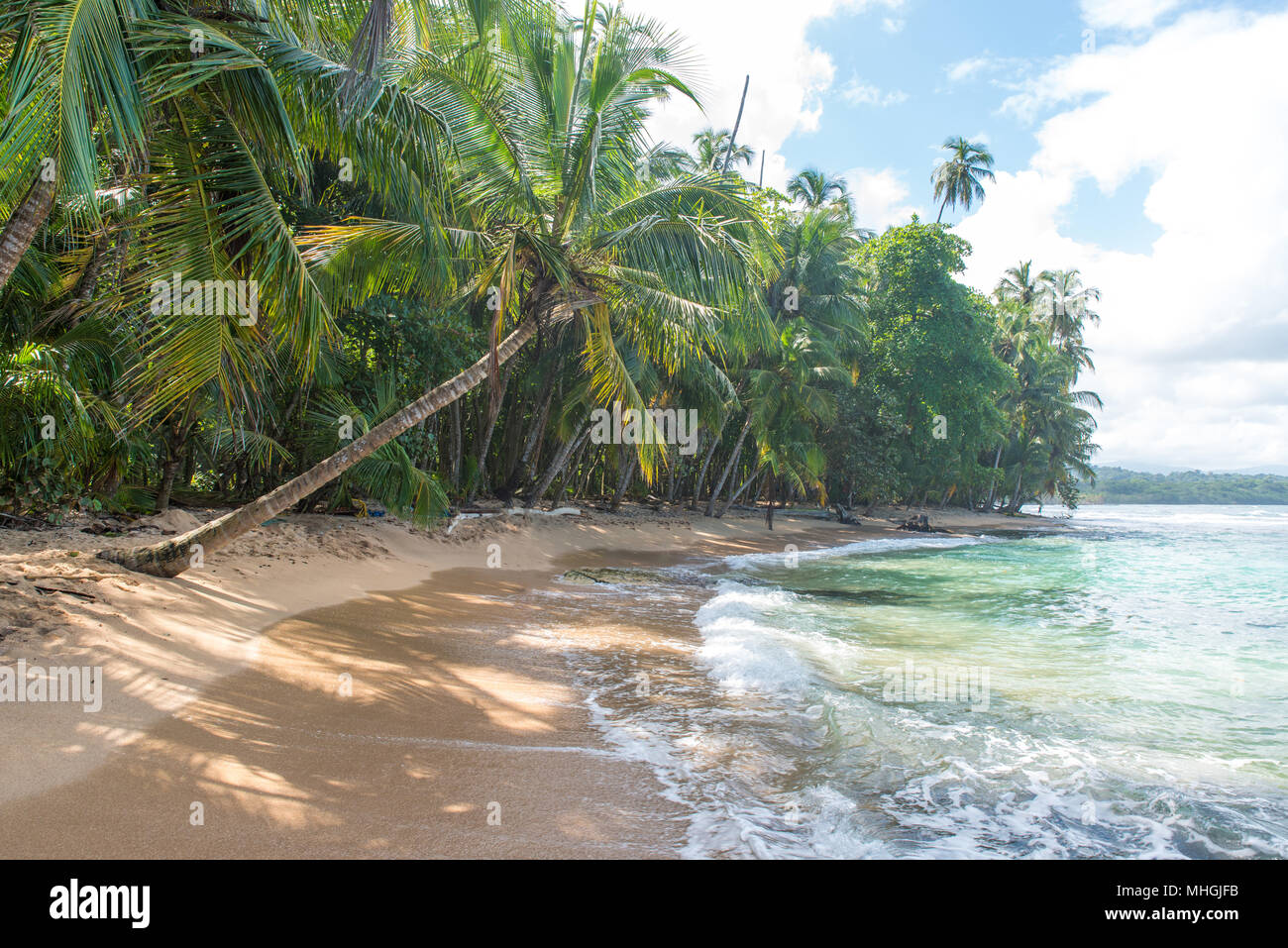 Paradise wild beach of Manzanillo Park in Costa Rica Stock Photo - Alamy