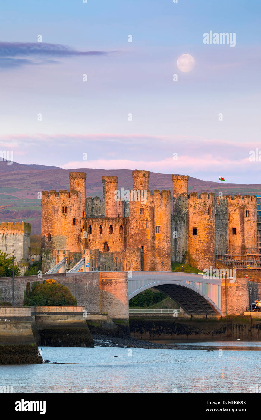 A beautiful sunrise dawn and setting moon over Conwy Castle and Carnedd ...
