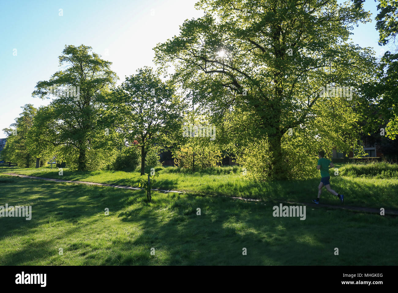 Wimbledon common landscape trees hi-res stock photography and images ...