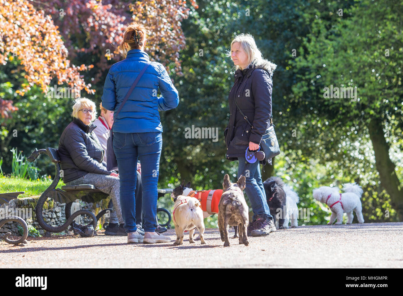 Dogs with women hi-res stock photography and images - Alamy