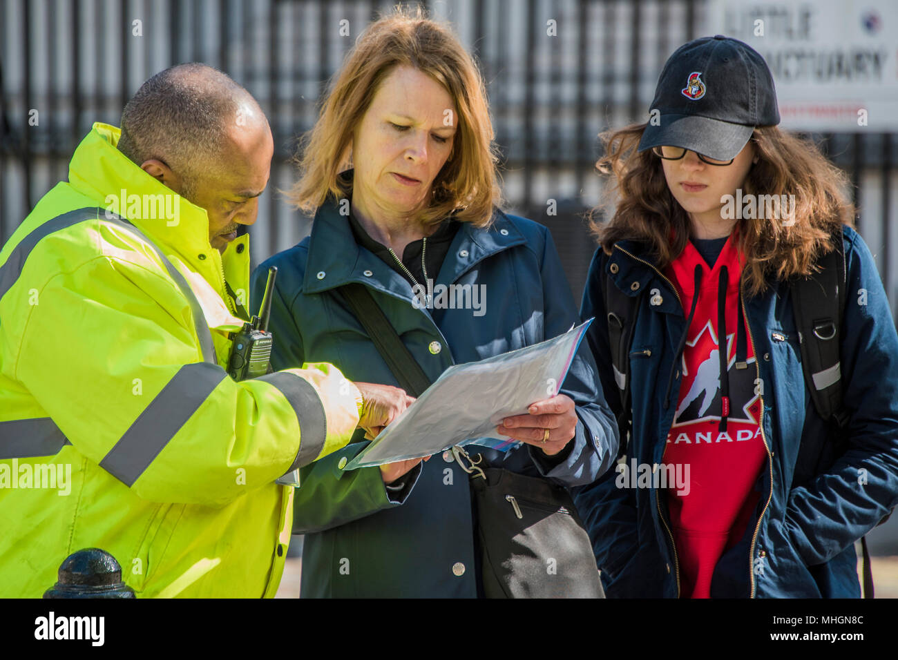 Queen yellow jacket hi-res stock photography and images - Alamy