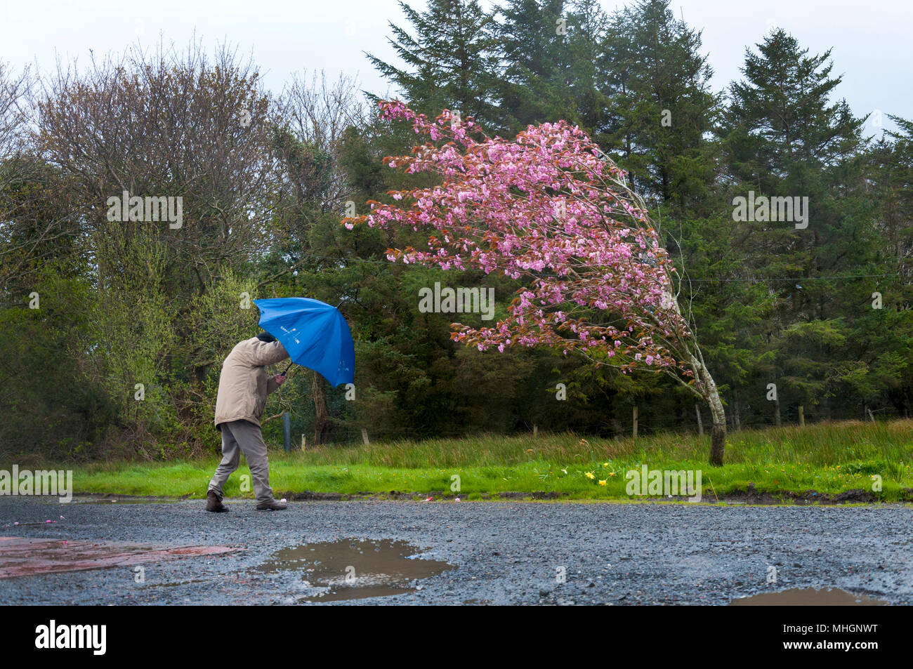 Windy weather and man hi-res stock photography and images - Alamy