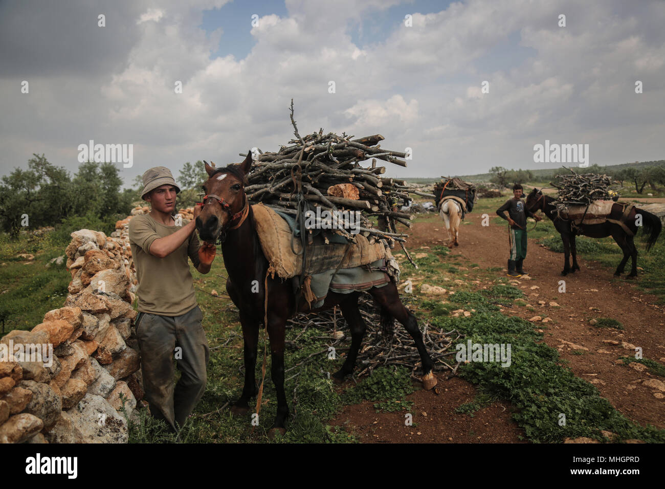 Mule manufacturing hi-res stock photography and images - Alamy