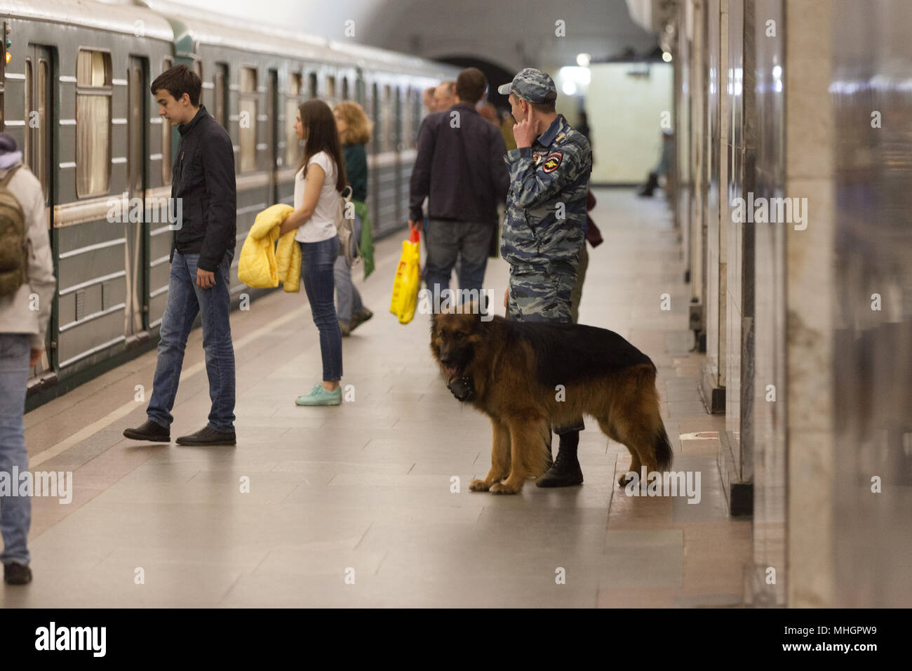 Moscow dog subway hi-res stock photography and images - Alamy