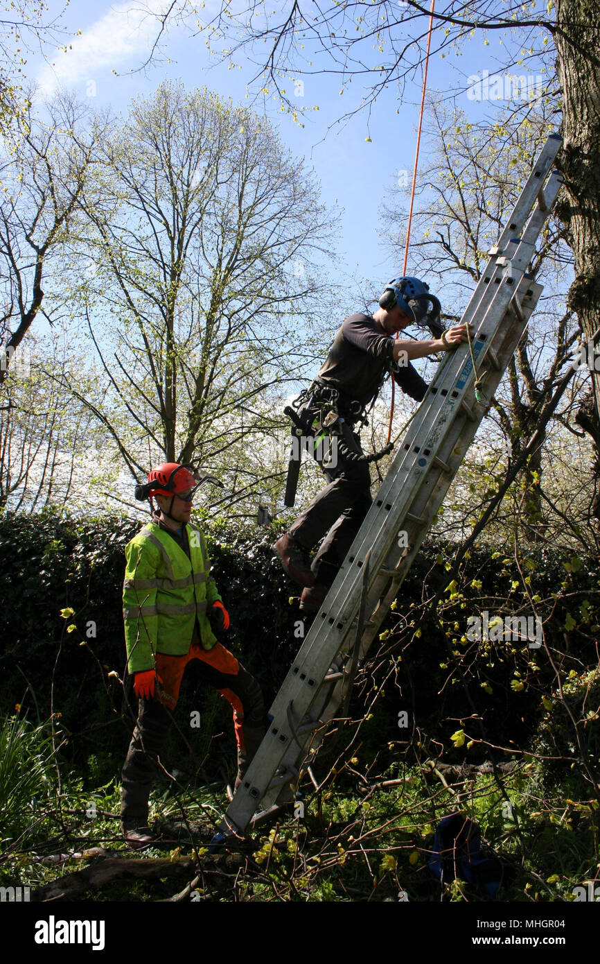 Labour movement hi-res stock photography and images - Alamy