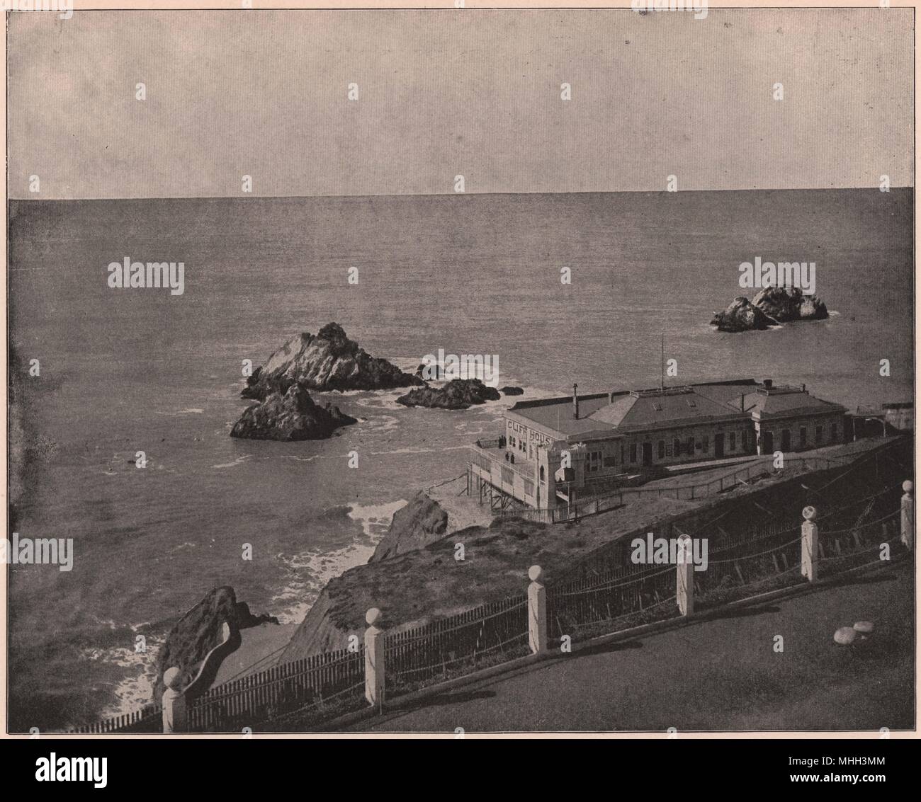 Seal rocks hi-res stock photography and images - Alamy