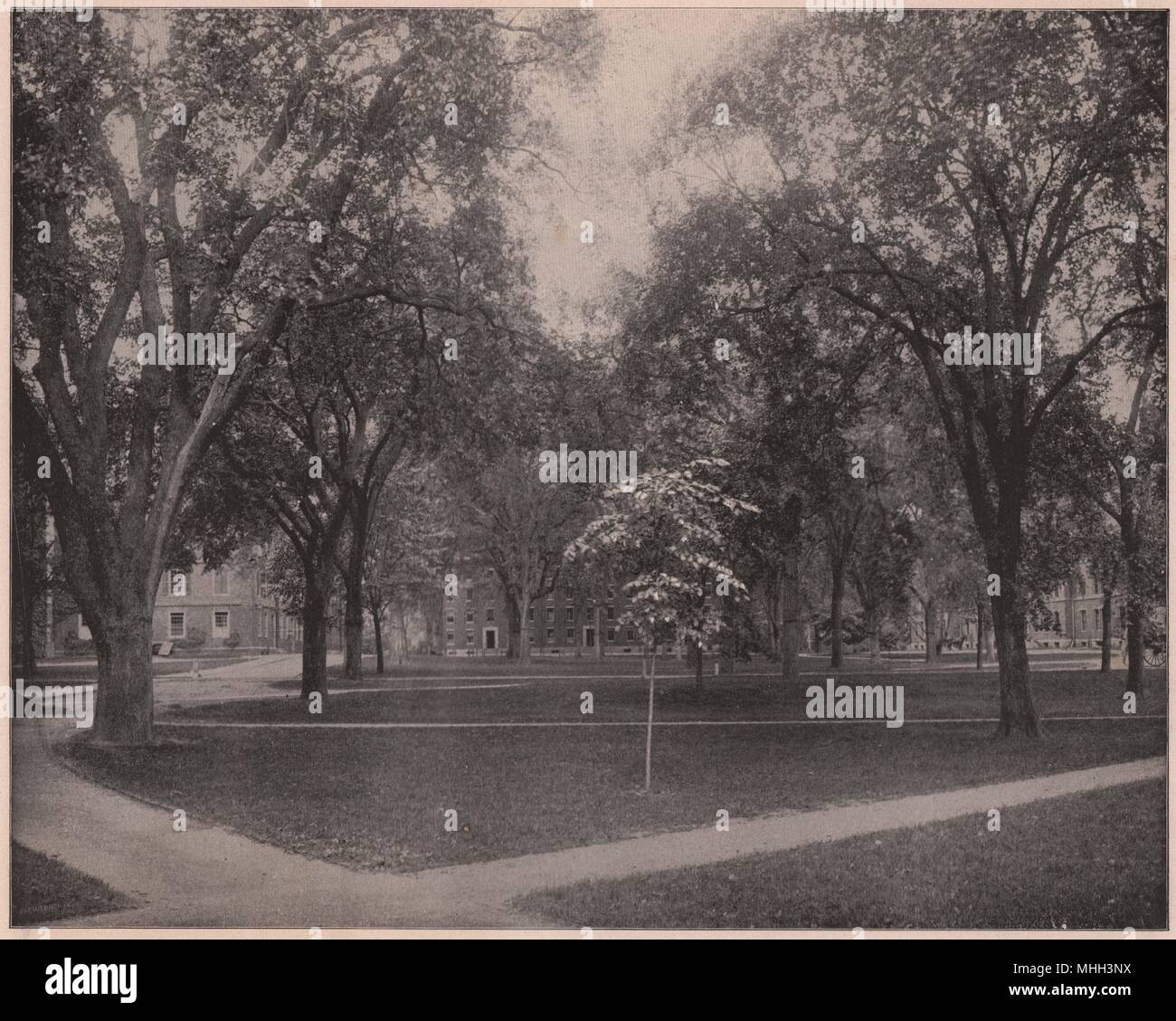 College yard hi-res stock photography and images - Alamy