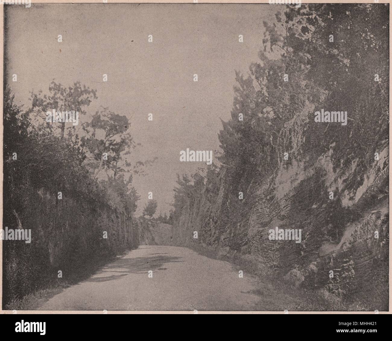 Road Cut by Convicts, Bermuda Stock Photo - Alamy