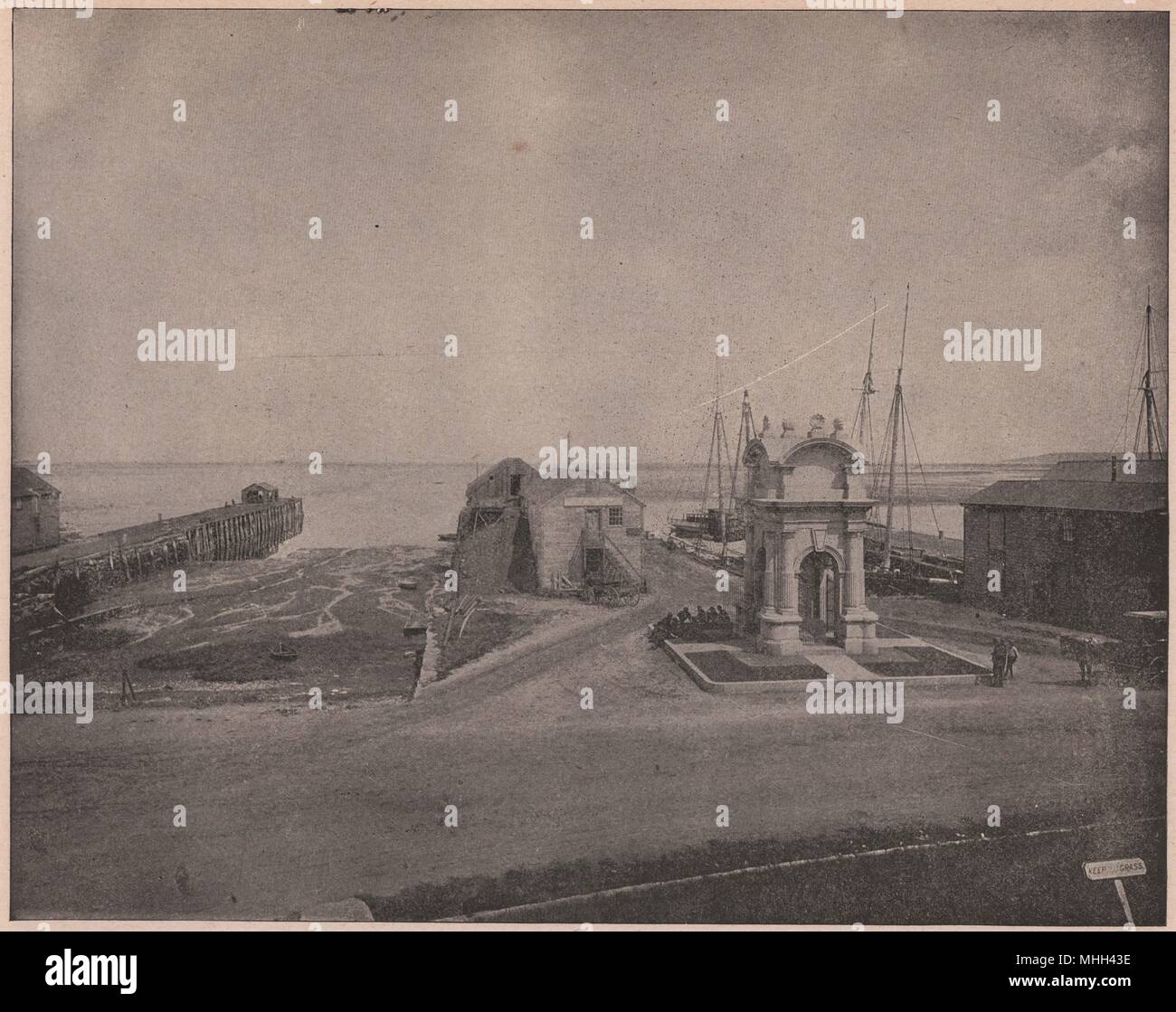 Plymouth rock hi-res stock photography and images - Alamy