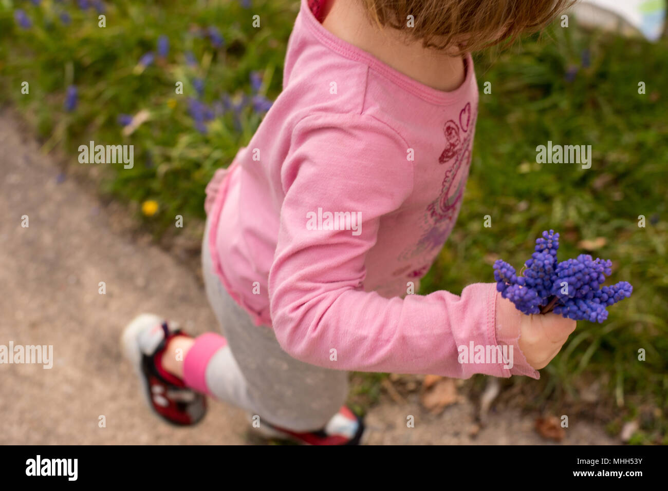 Girl holding hyacinths hi-res stock photography and images - Alamy