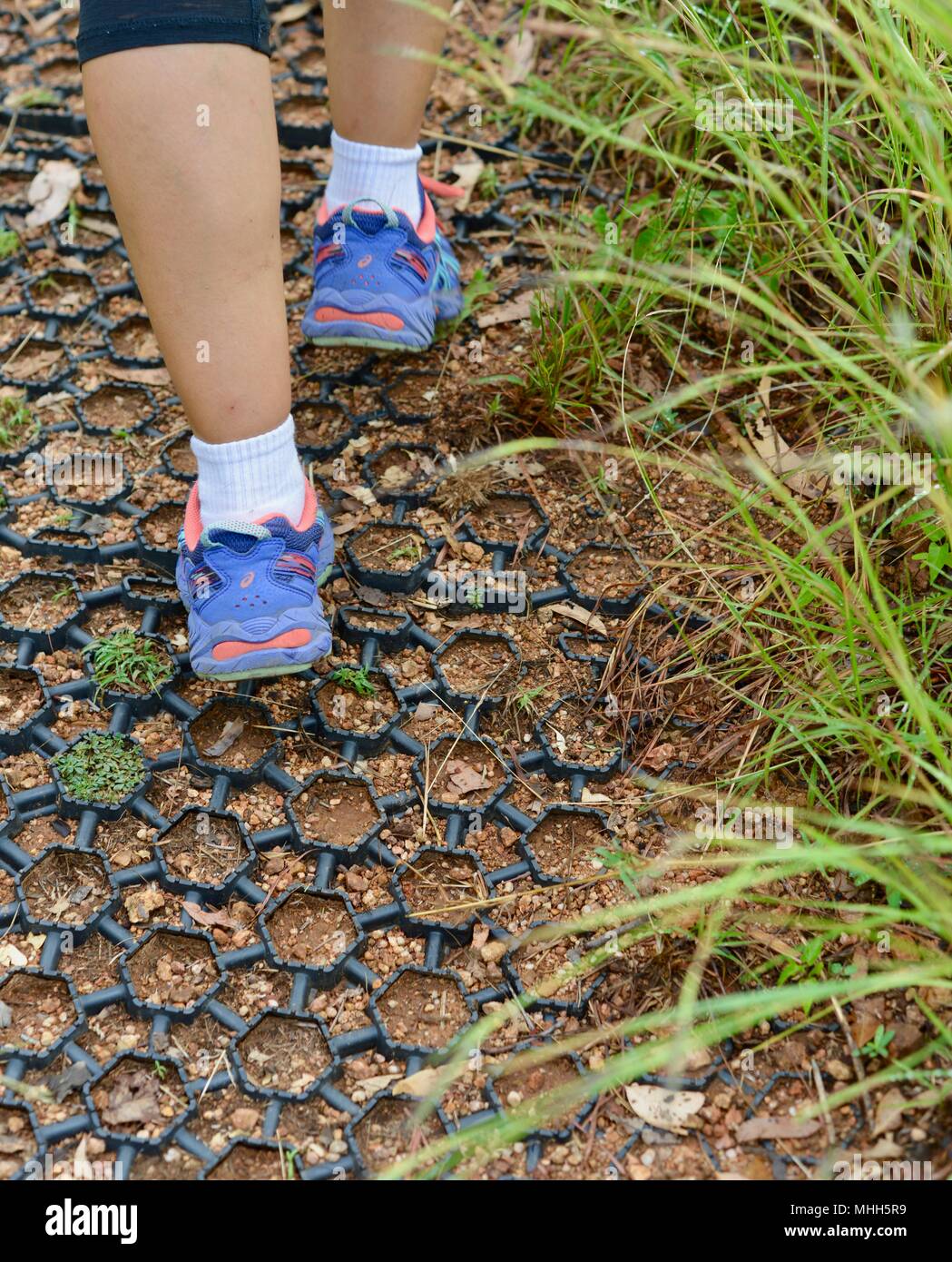 Mount Stuart hiking trails, Townsville, Queensland, Australia Stock ...