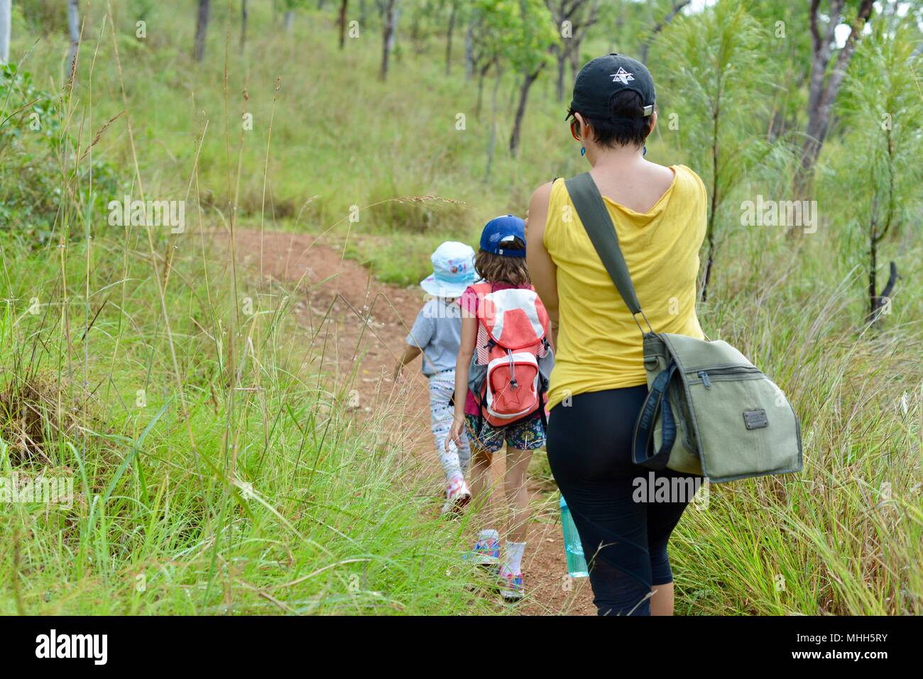 Mother and children walking through long grass through a forest in an ...