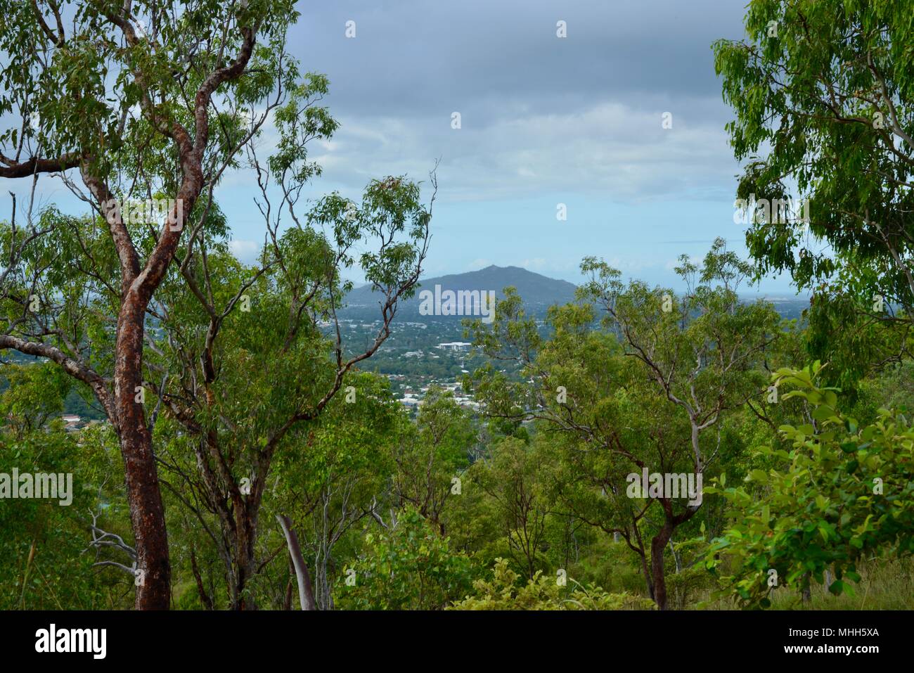 Views of townsville from the Mount Stuart hiking trails, Townsville ...