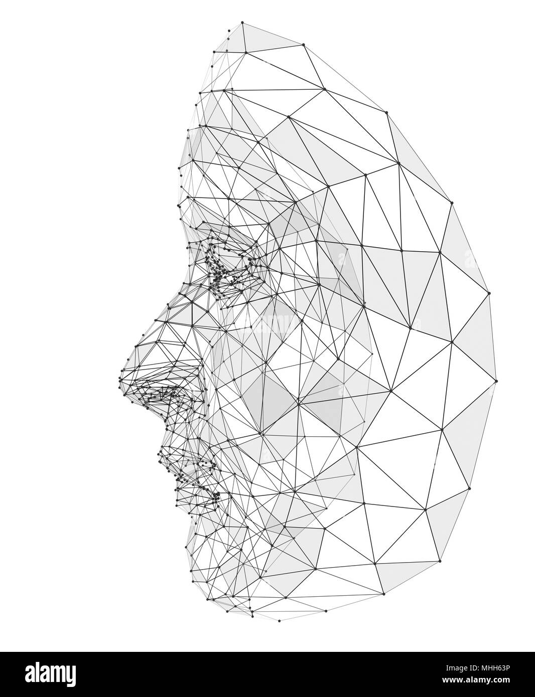 Human face consisting of lines, polygons and dots Stock Photo - Alamy