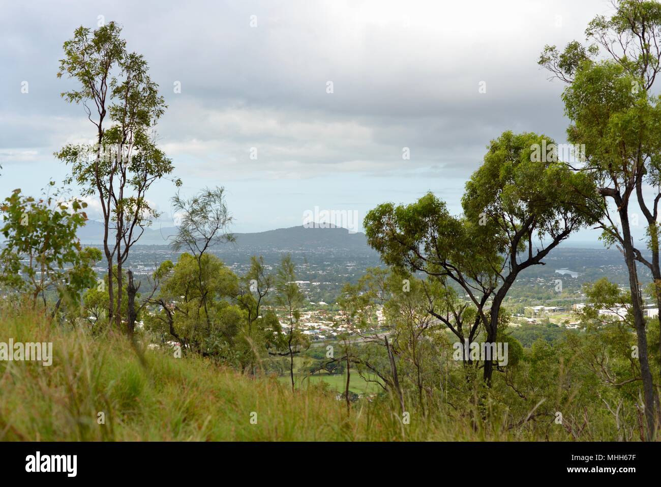 Views of townsville from the Mount Stuart hiking trails, Townsville ...