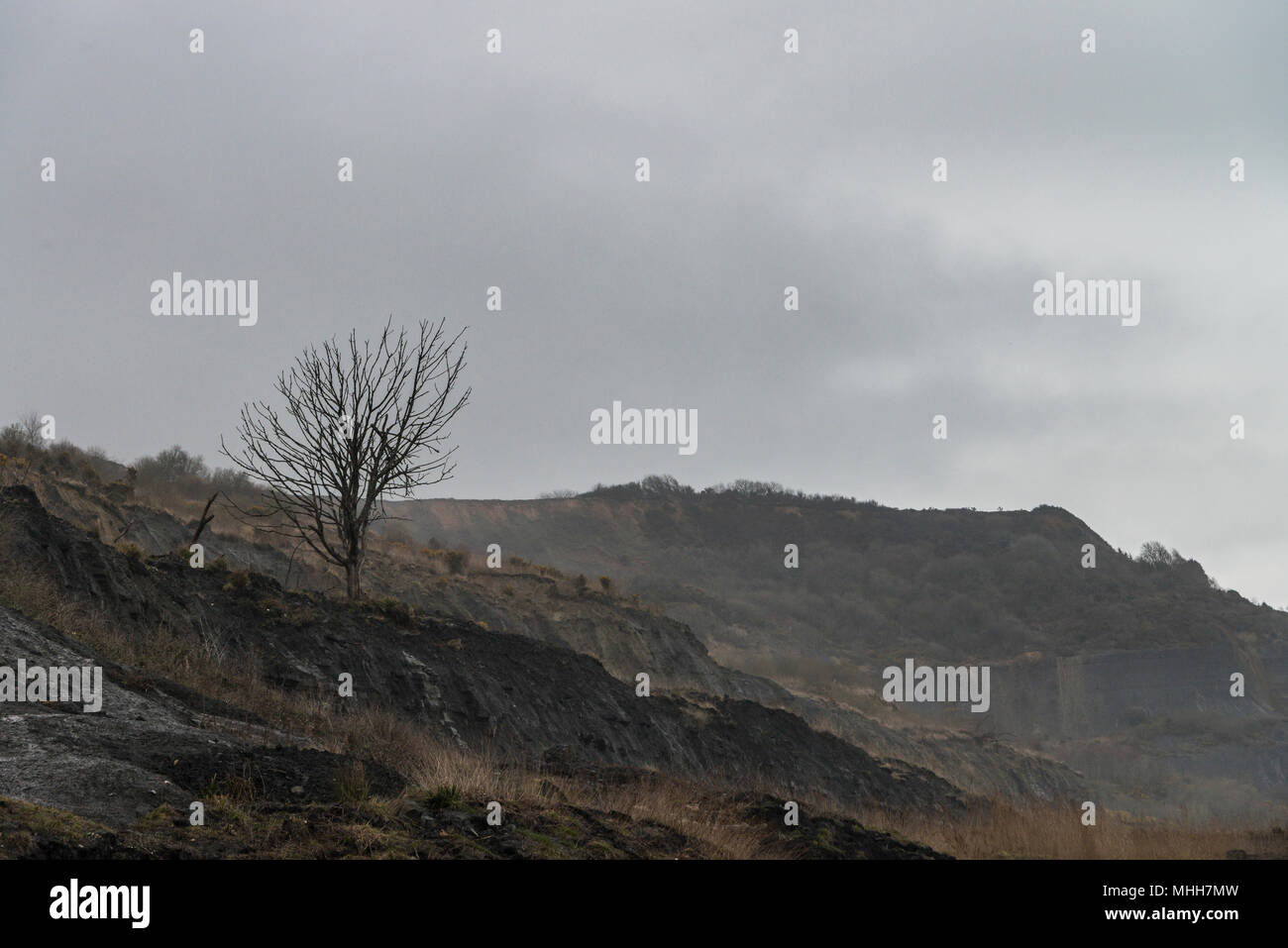 The spittles lyme regis hi-res stock photography and images - Alamy