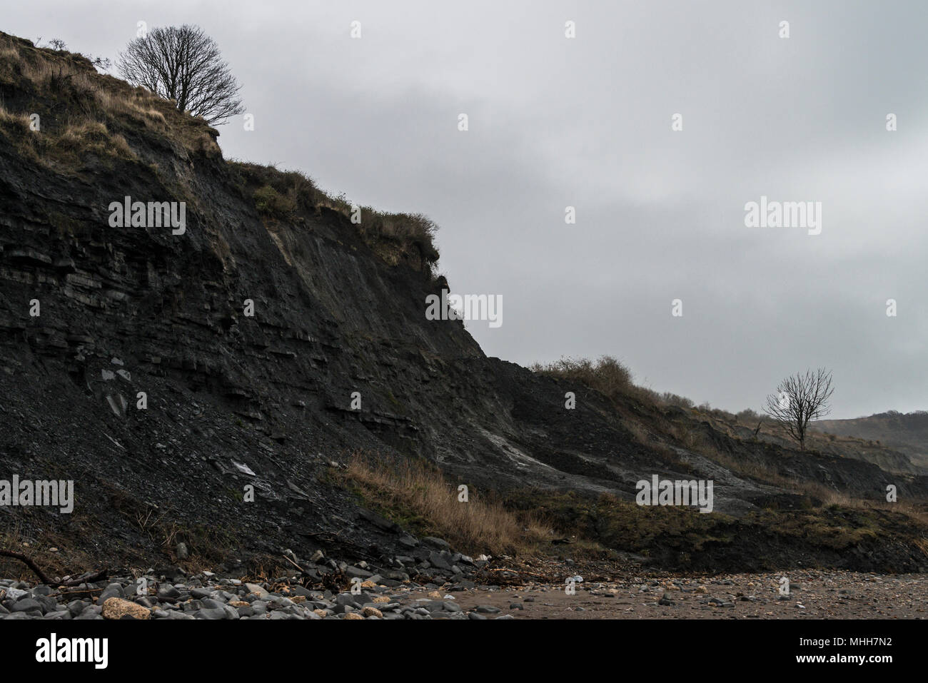 The cliffs at East Cliff Beach, Lyme Regis after a landslip Stock Photo ...