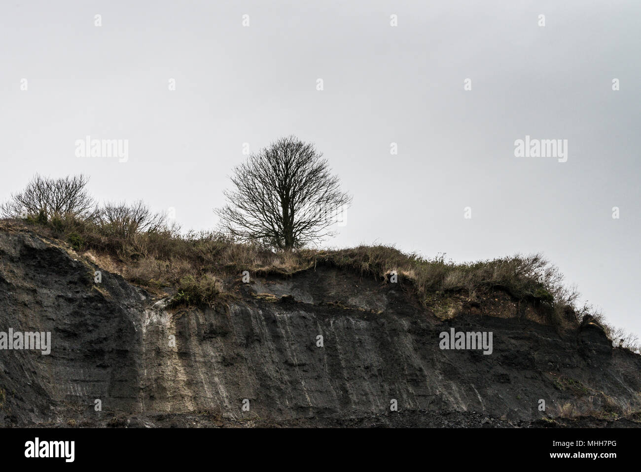The cliffs at East Cliff Beach, Lyme Regis after a landslip Stock Photo ...