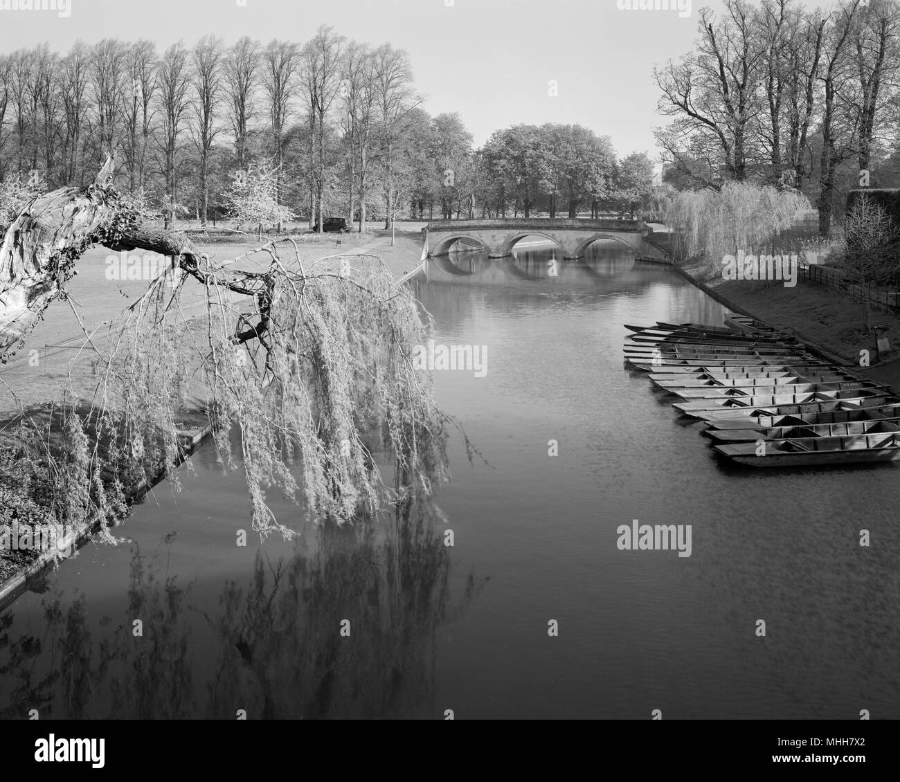 Trinity Bridge over the River Cam in Cambridge Stock Photo - Alamy