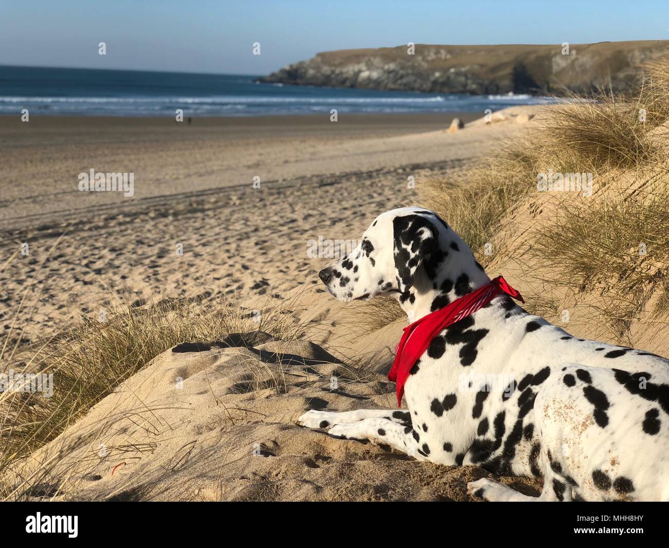 Life on beach hi-res stock photography and images - Alamy