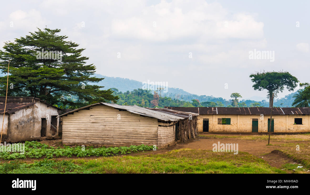Small Cameroon houses and trees Stock Photo - Alamy