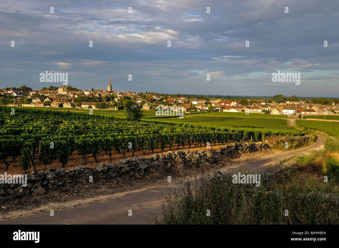 Meursault village hi-res stock photography and images - Alamy