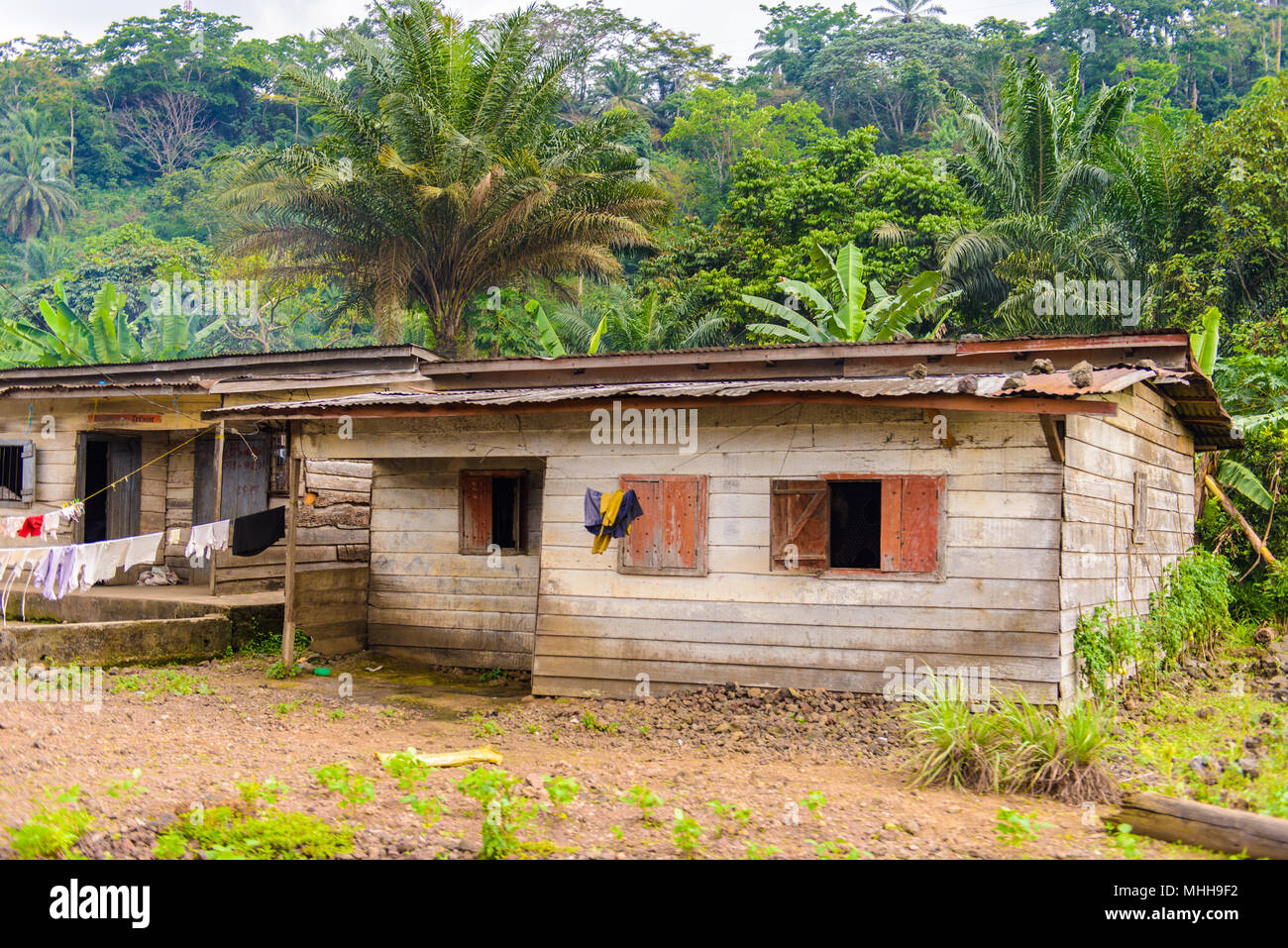 Weak plantation hi-res stock photography and images - Alamy