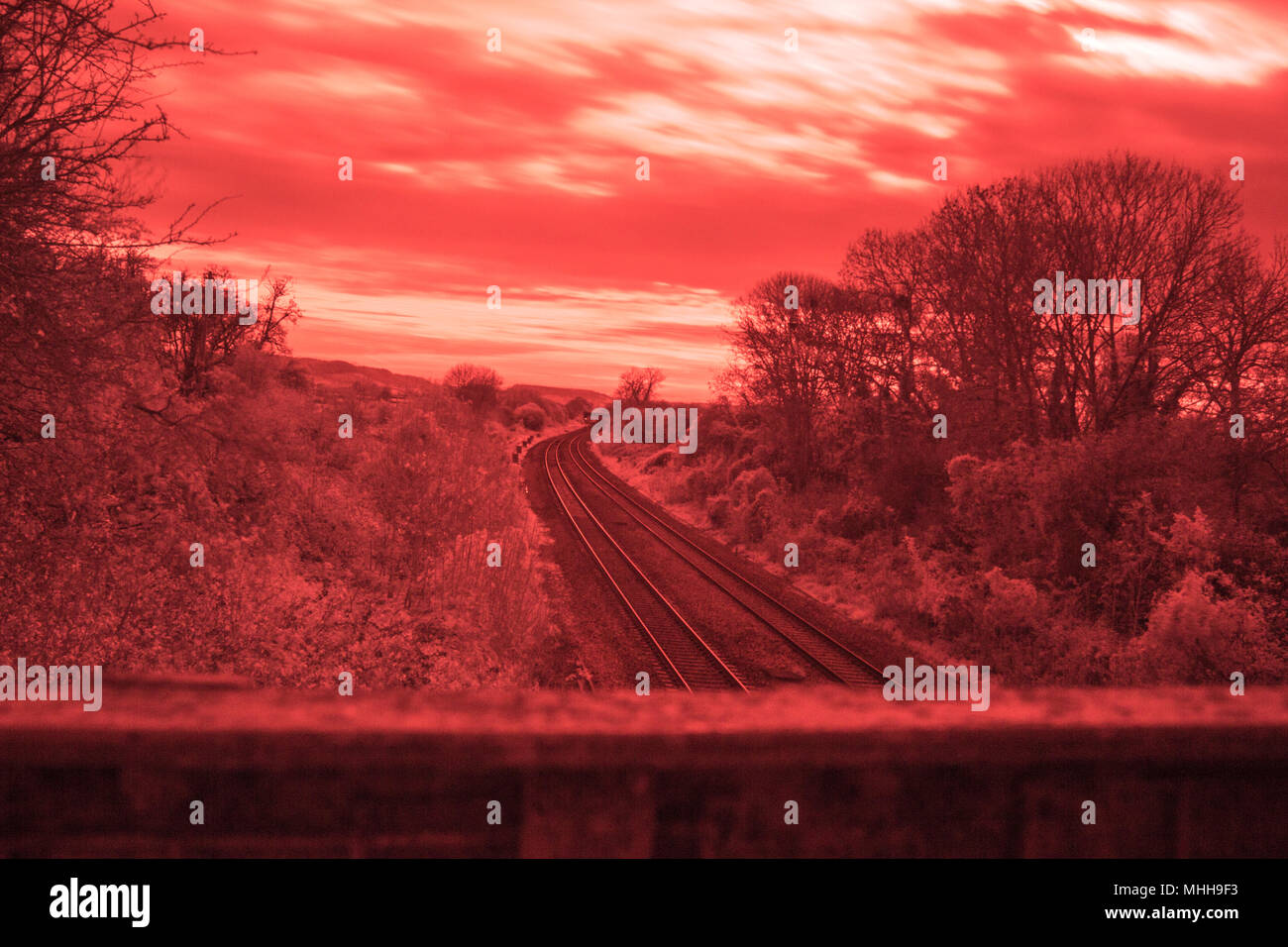 Train tracks in infrared Stock Photo - Alamy