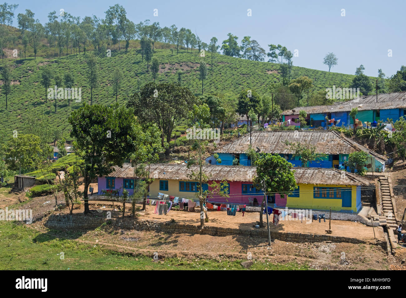 Accommodation for housing estate workers on a tea plantation near ...
